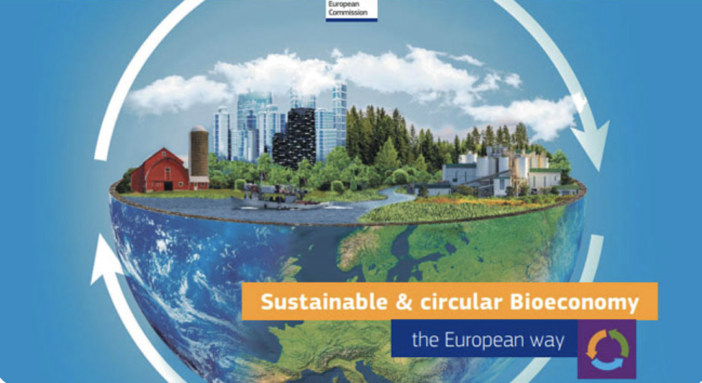 Updated bioeconomy strategy 2018 – BioBIGG